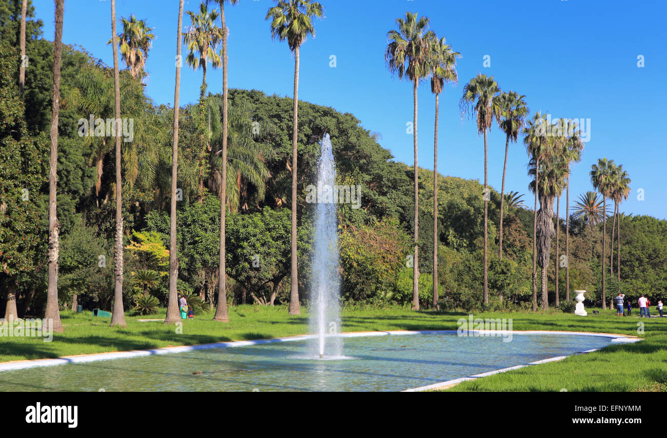 Algerian garden hi-res stock photography and images - Alamy