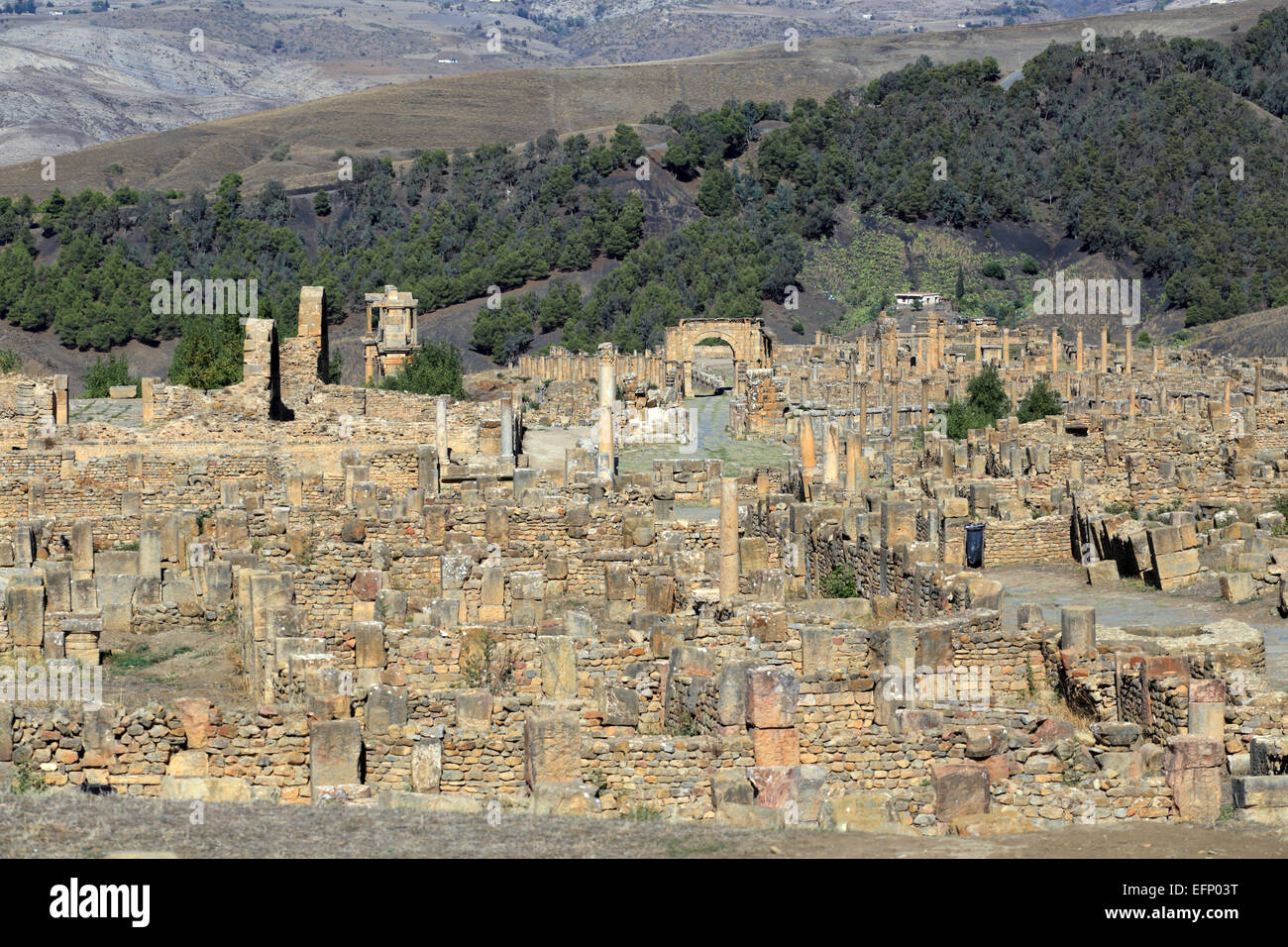 Ruins of ancient city Cuicul, Djemila, Setif Province, Algeria Stock ...