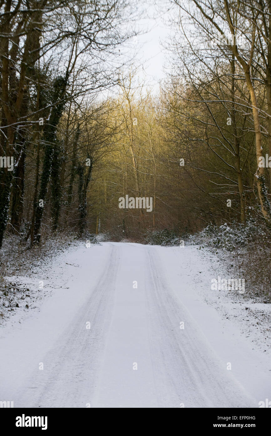 English country lane in snow hi-res stock photography and images - Alamy