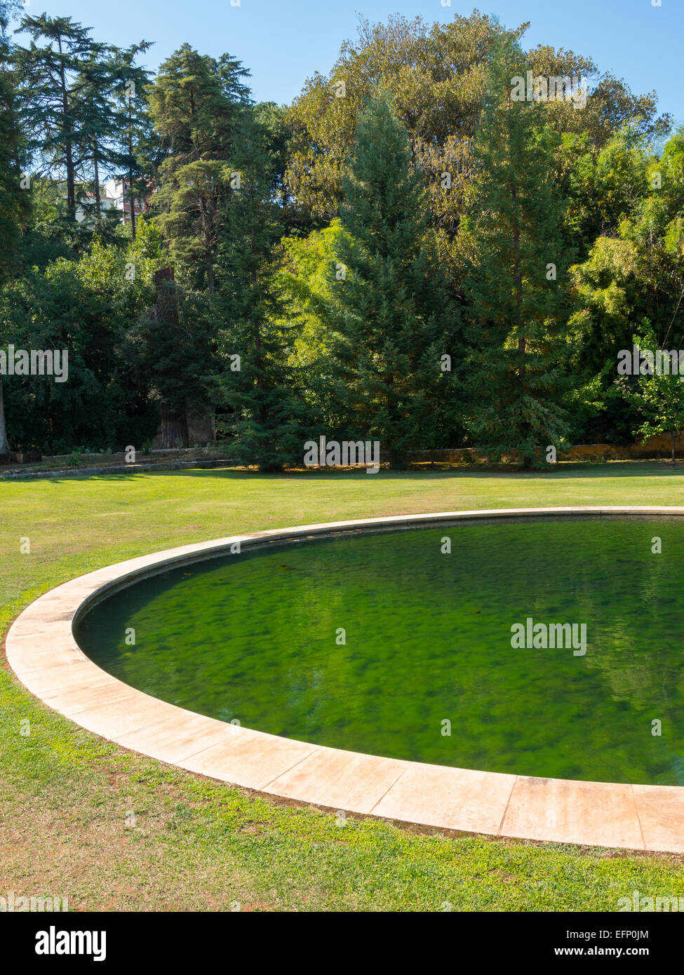 Circular pool hi-res stock photography and images - Alamy