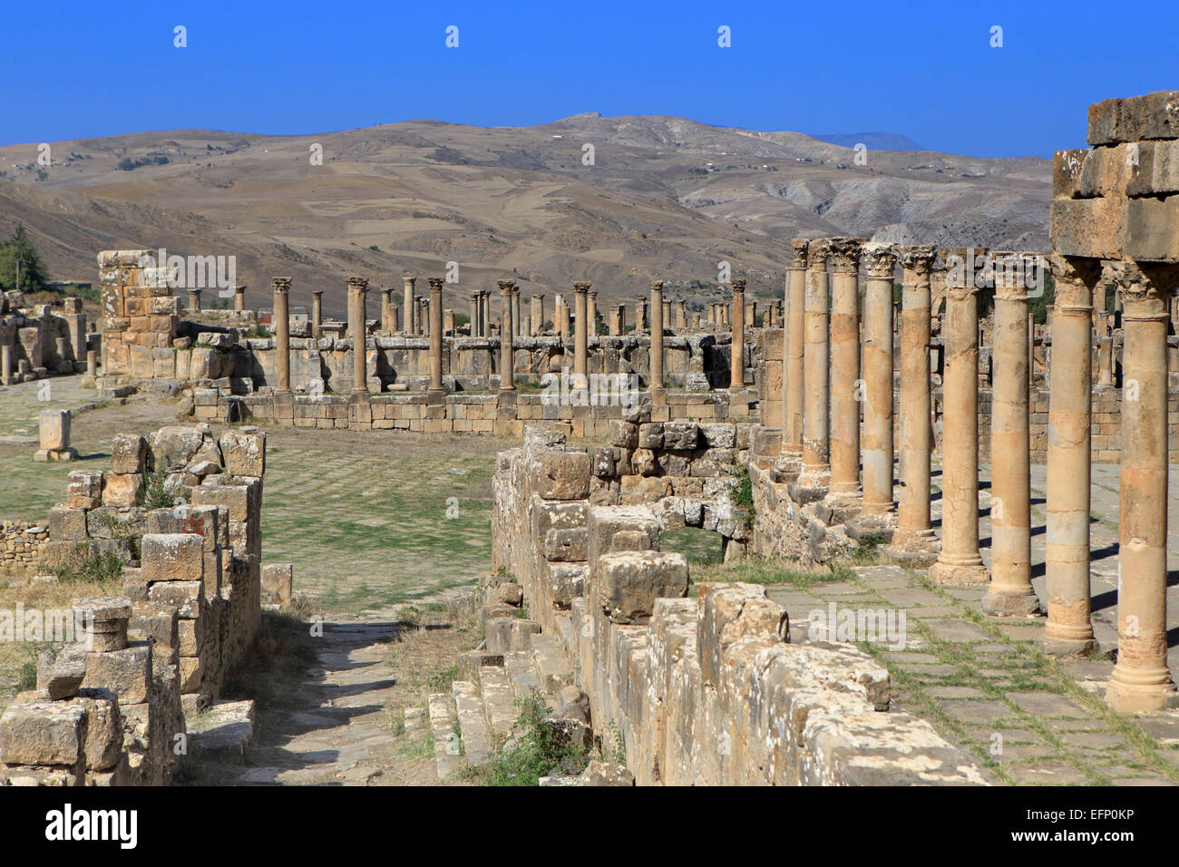 Temple of Gens Septimia, Ruins of ancient city Cuicul, Djemila, Setif ...
