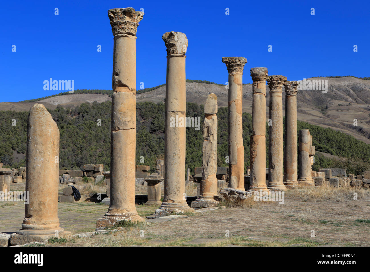 Ruins of ancient city Cuicul, Djemila, Setif Province, Algeria Stock ...