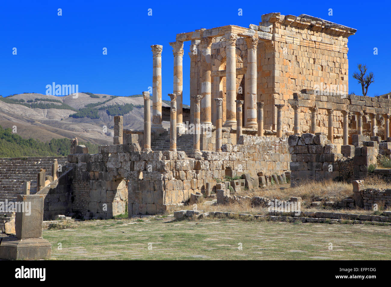 Temple of Gens Septimia, Ruins of ancient city Cuicul, Djemila, Setif ...