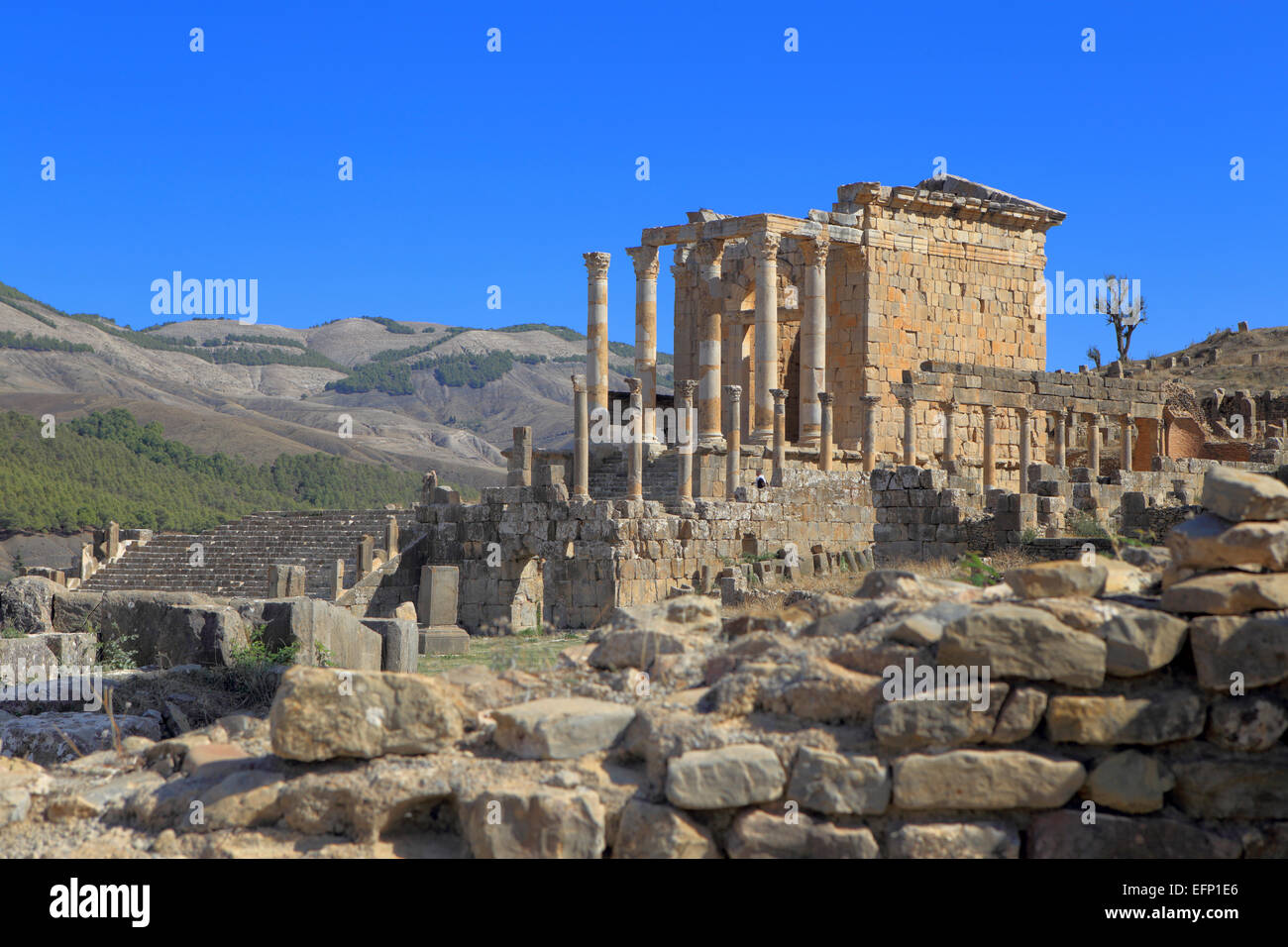 Septimia hi-res stock photography and images - Alamy
