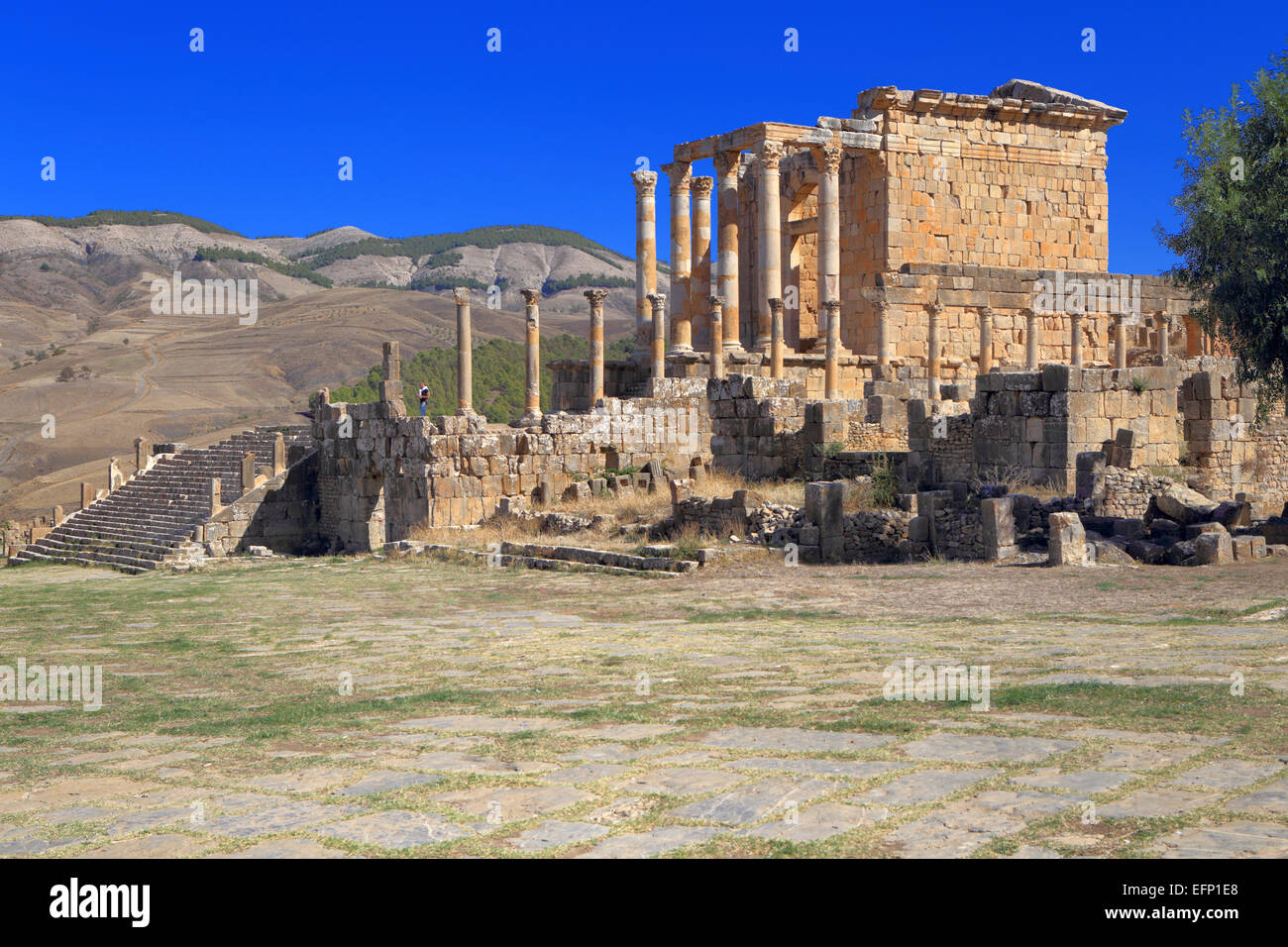 Septimia hi-res stock photography and images - Alamy