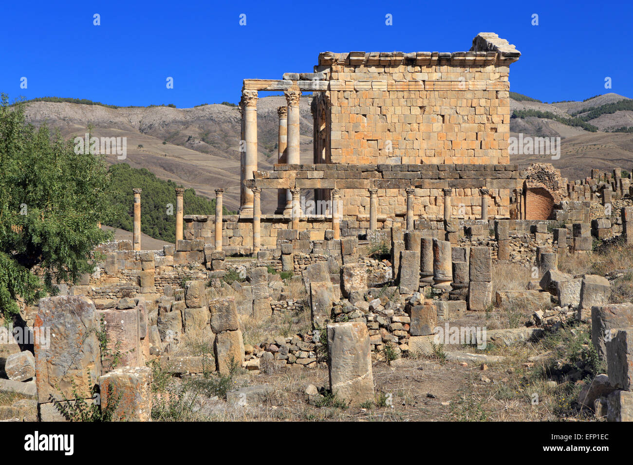 Septimia hi-res stock photography and images - Alamy