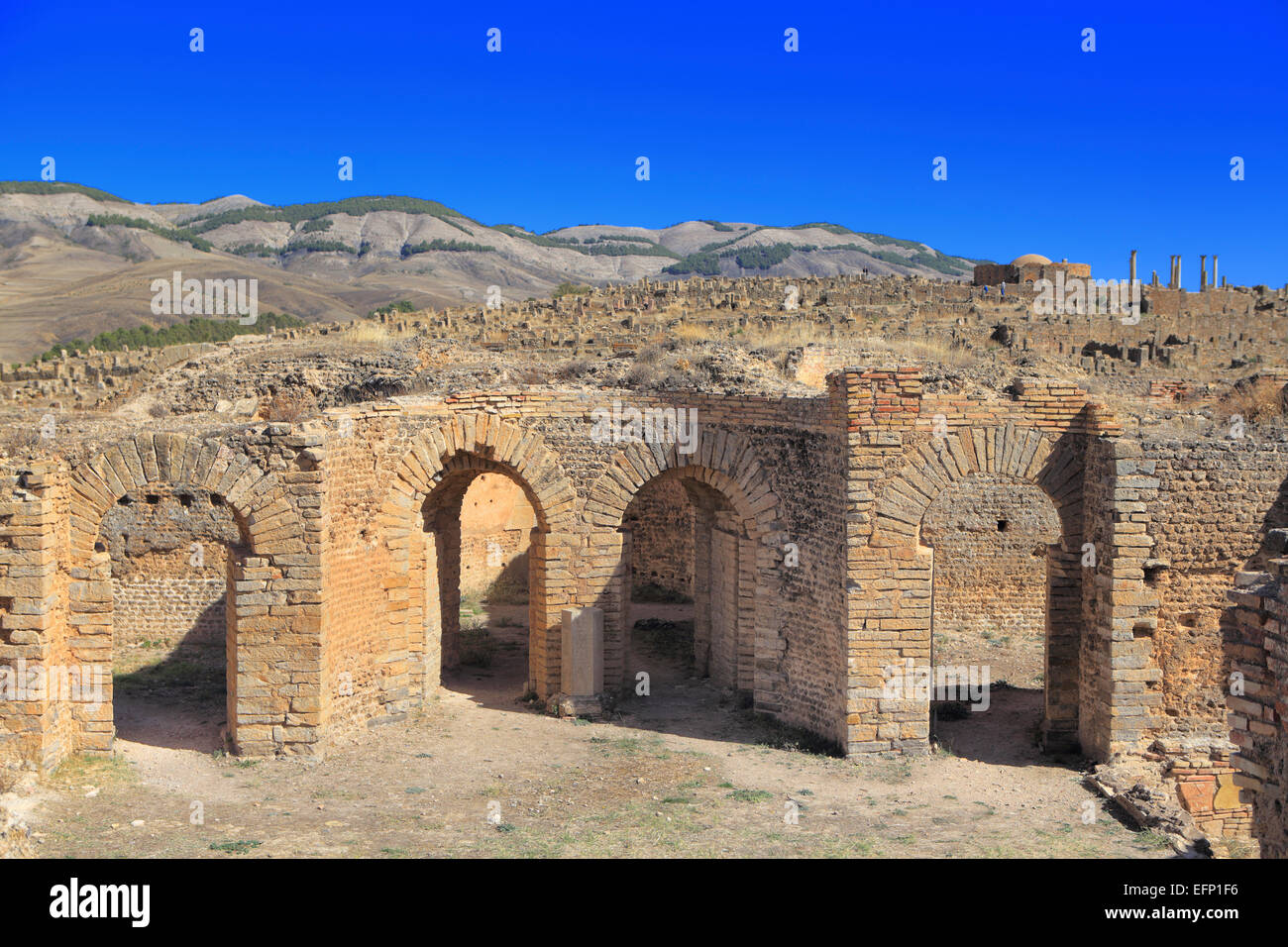 Ruins of ancient city Cuicul, Djemila, Setif Province, Algeria Stock ...