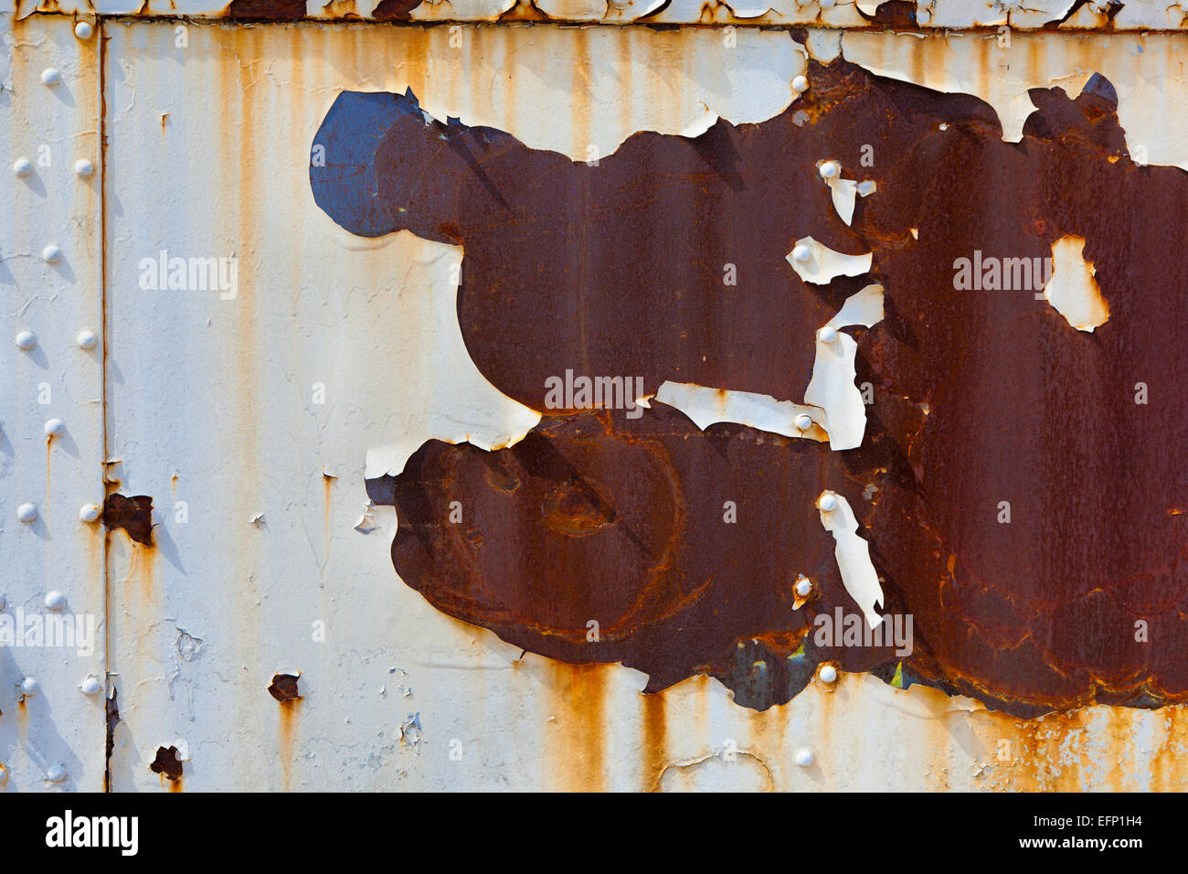 An old, rusty, peeling piece of steel for a background an grunge effect ...