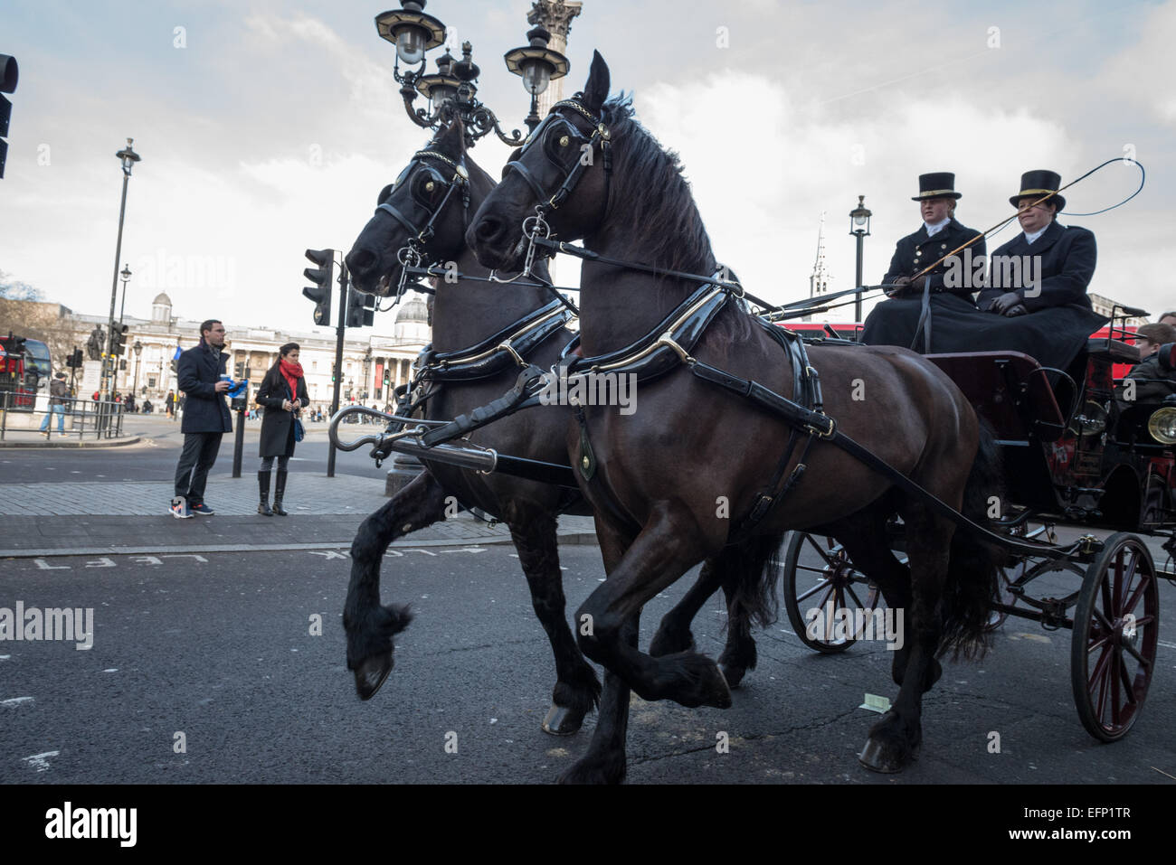 Horse carriage in London as tourist attraction Stock Photo - Alamy