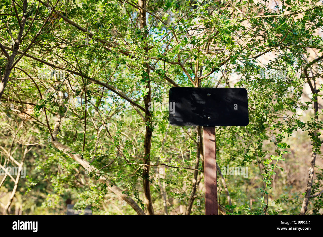 Sign signage signpost spring hi-res stock photography and images - Alamy