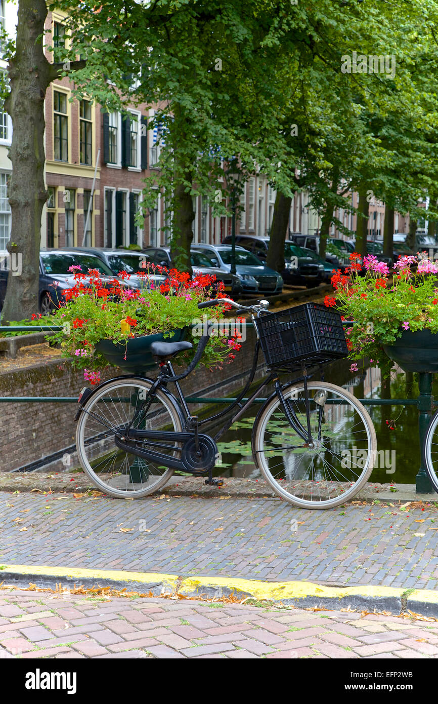 Bicycle scene in Netherlands, Europe Stock Photo - Alamy