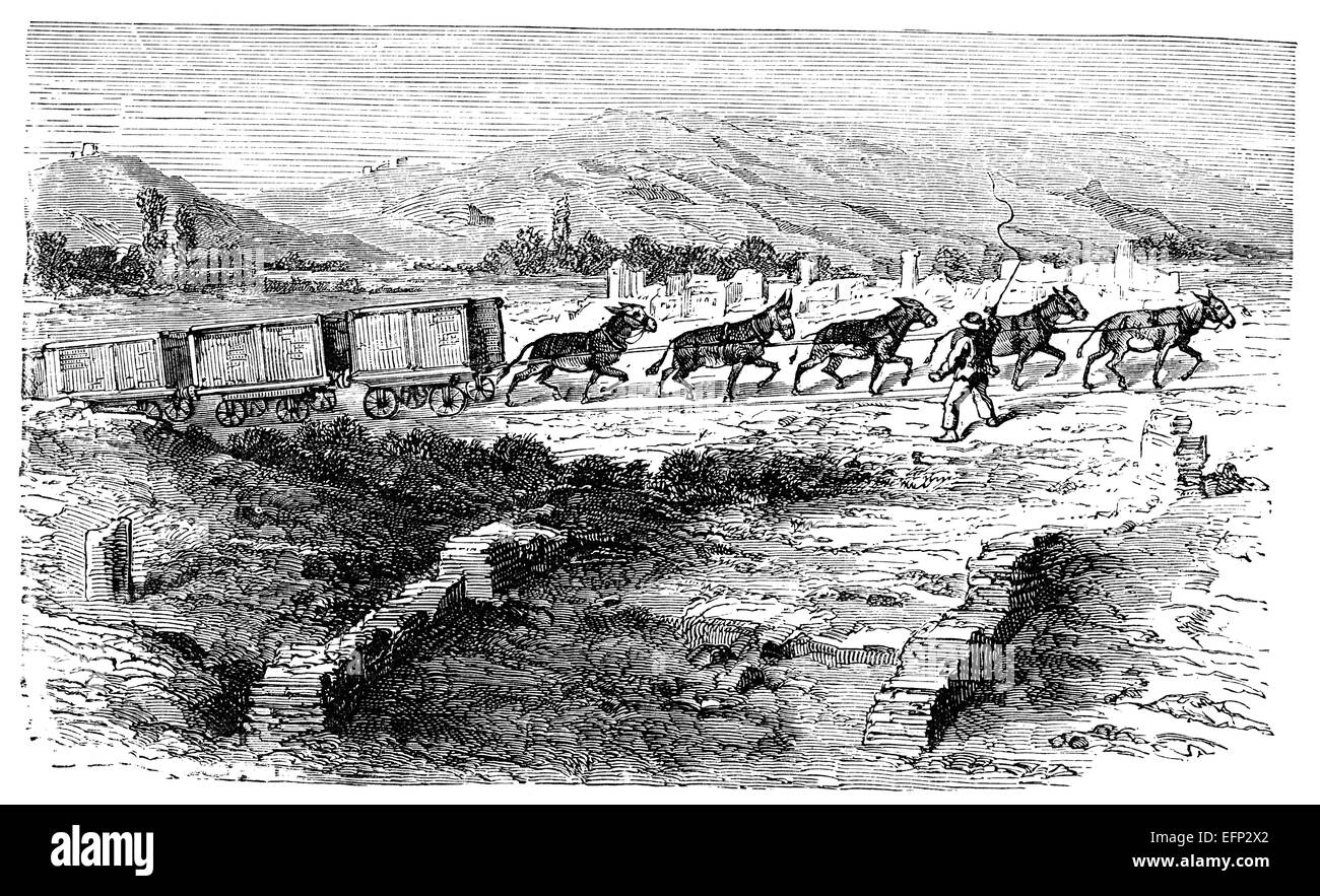 19th century engraving of an agricultural scene Stock Photo - Alamy