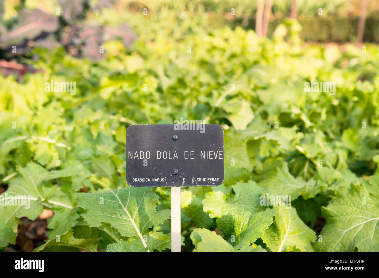 detail signboard, Garden, planted in store garden ecological Stock ...