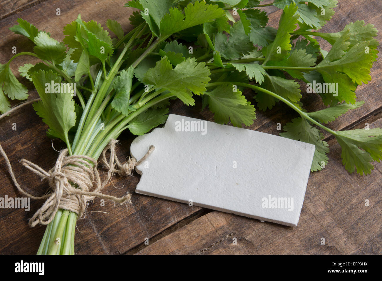 bouquet of fresh coriander or cilantro, price tag on white wooden ...