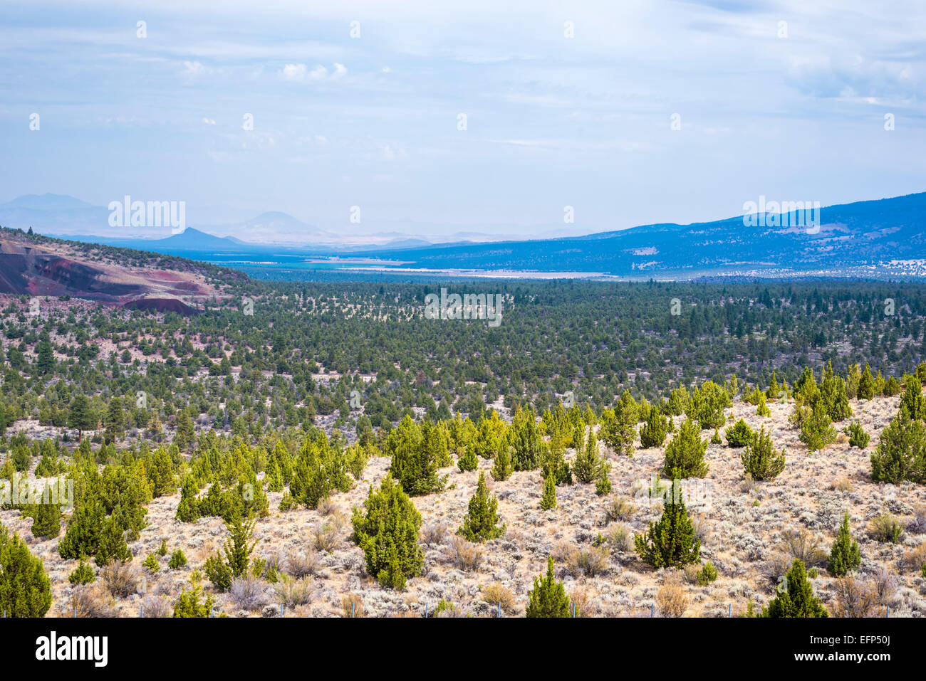 View of the Juniper Valley area along U.S. Highway 97. Weed, California ...