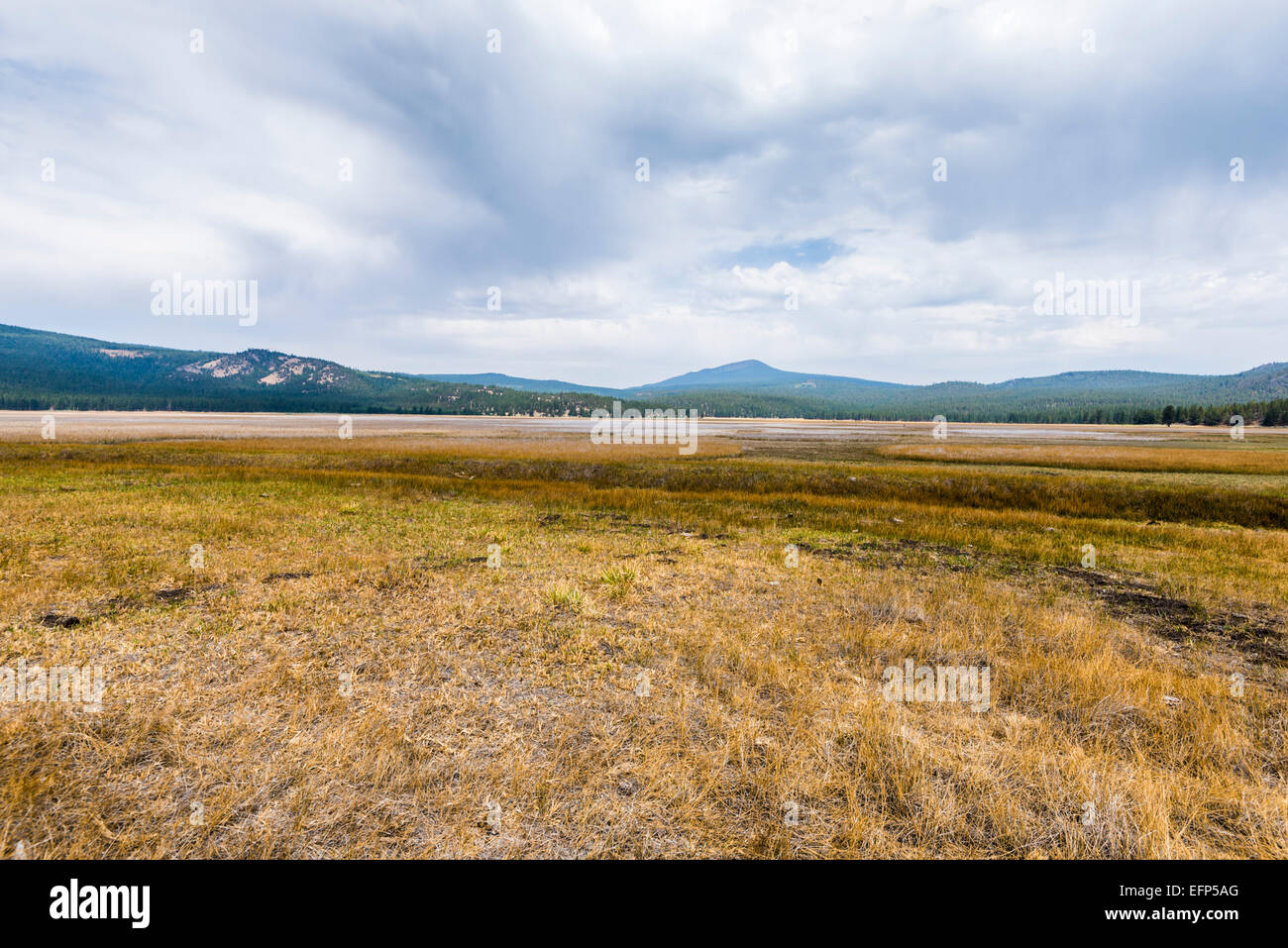 View of the Grass Lake Rest Area along U.S. Highway 97. Siskiyou County ...