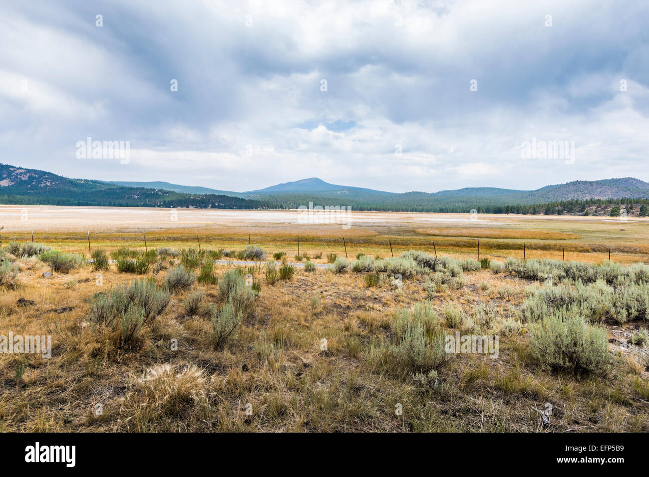 View of the Grass Lake Rest Area along U.S. Highway 97. Siskiyou County ...