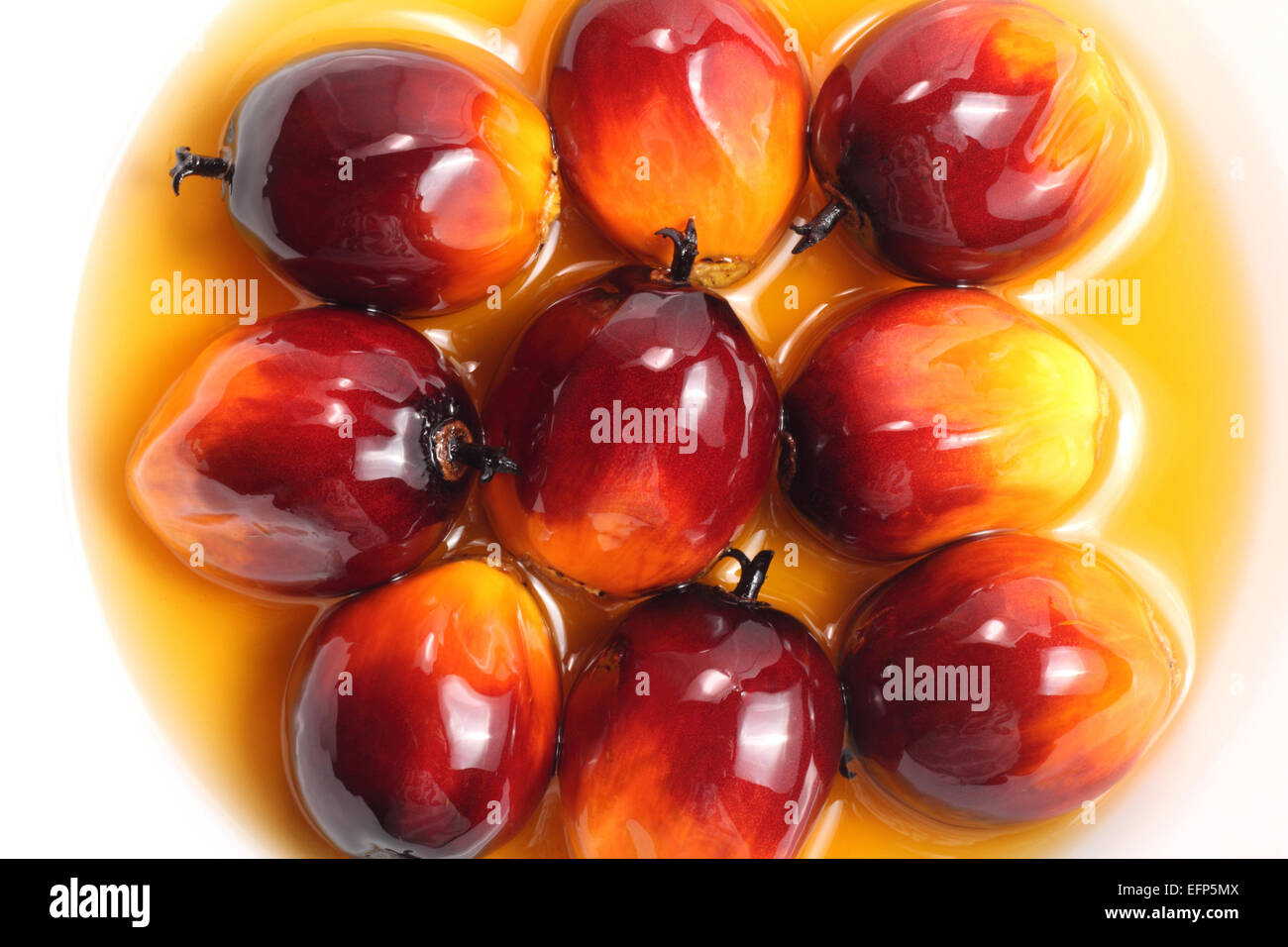 Oil palm fruits and cooking oil on a white background Stock Photo - Alamy