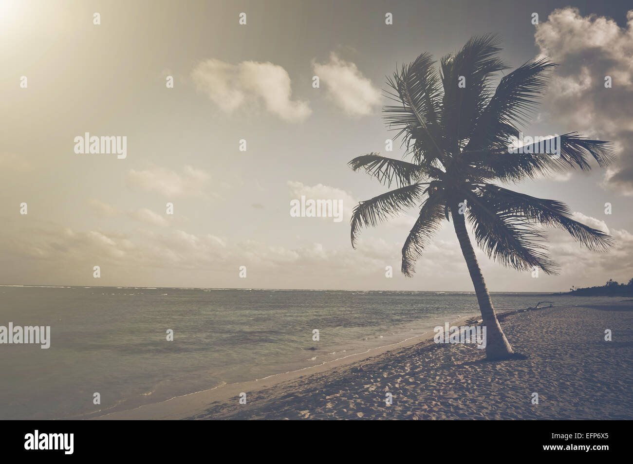 Retro palm tree hi-res stock photography and images - Alamy