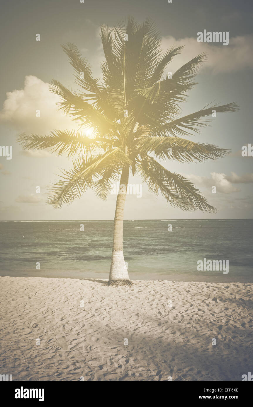 Retro palm tree hi-res stock photography and images - Alamy