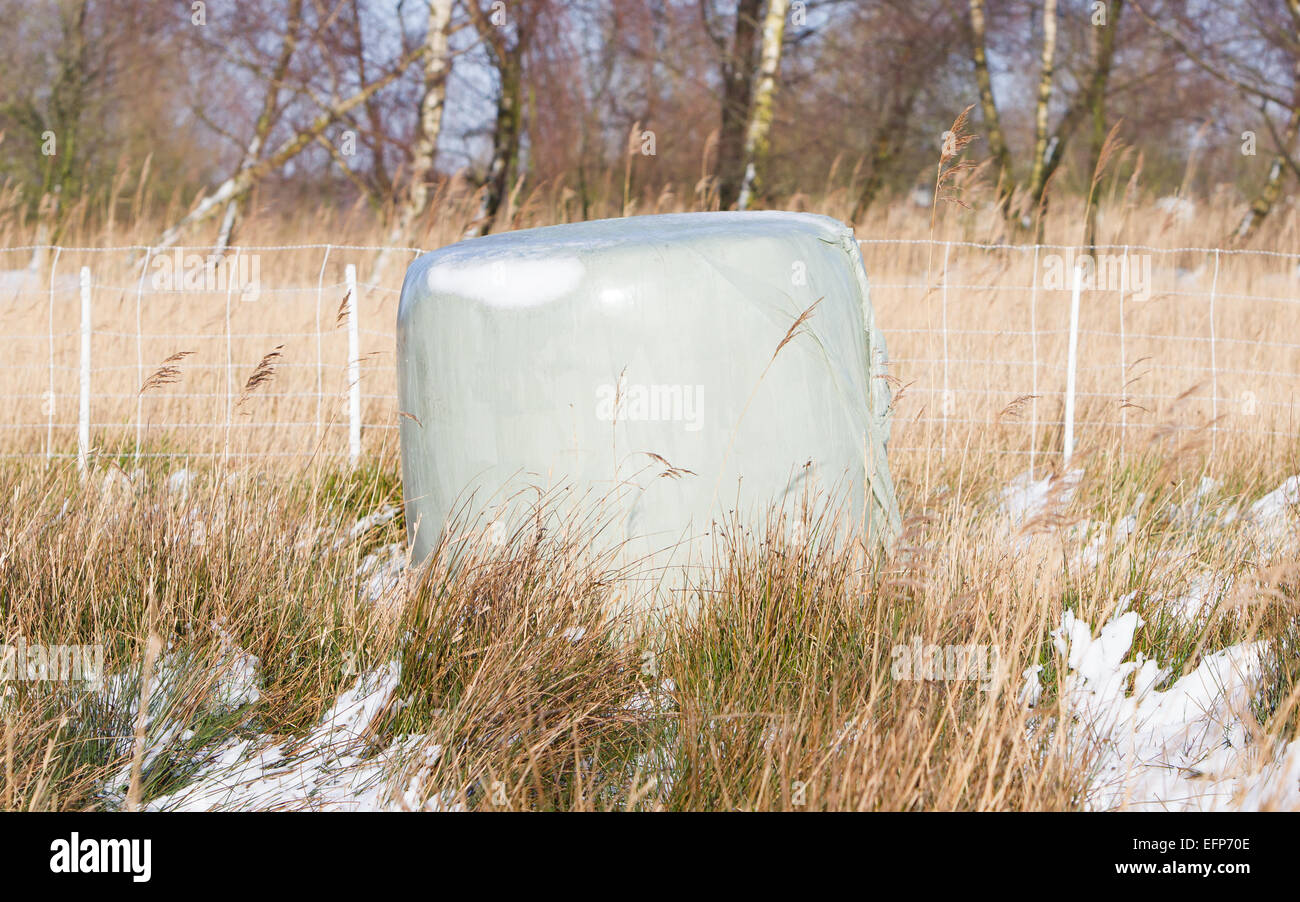 Crop preservation hi-res stock photography and images - Alamy