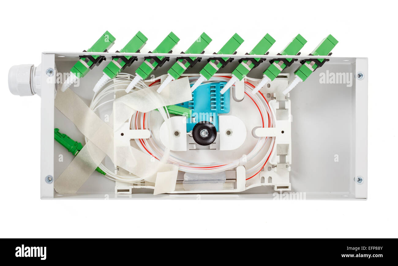 Fiber optic cassette or box with green singlemode SC connectors ...