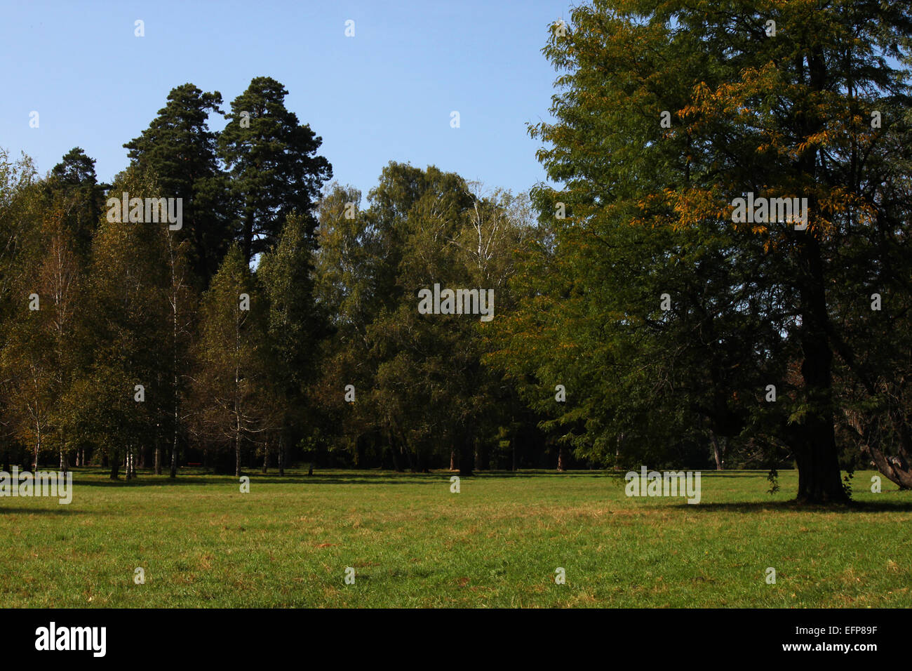 View into park hi-res stock photography and images - Alamy