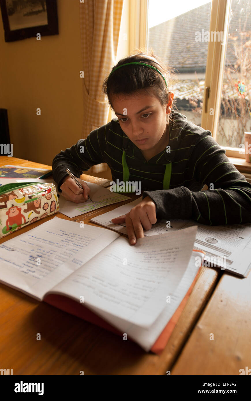 Young conscientious teenager studying and doing homework after a day at ...