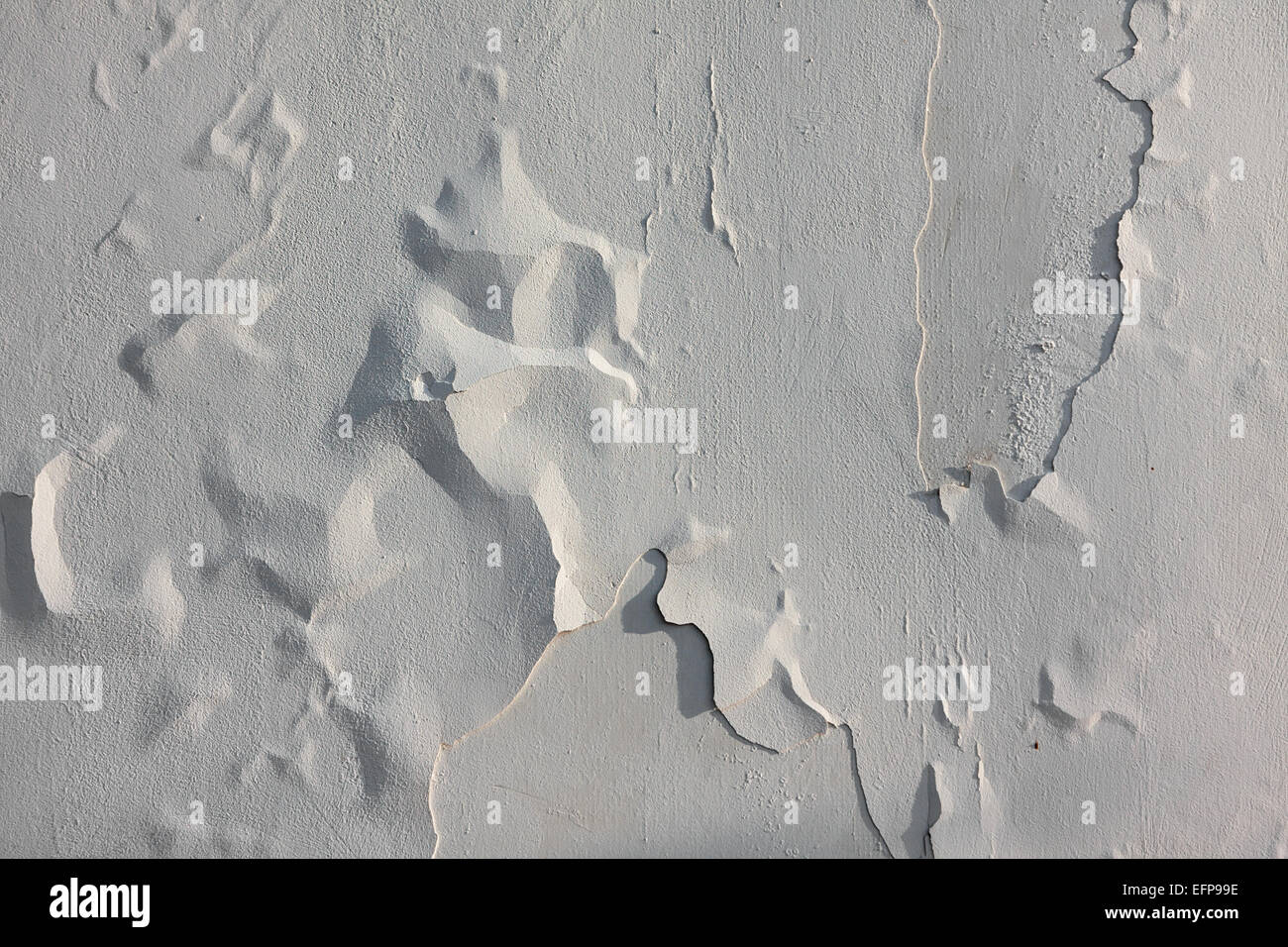 Texture of the old white paint in the morning light, can be used as ...