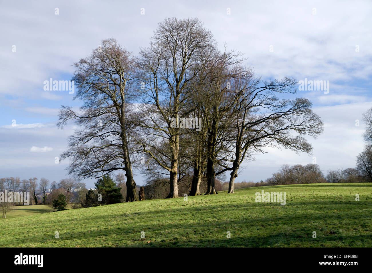 Public access to the woods hi-res stock photography and images - Alamy