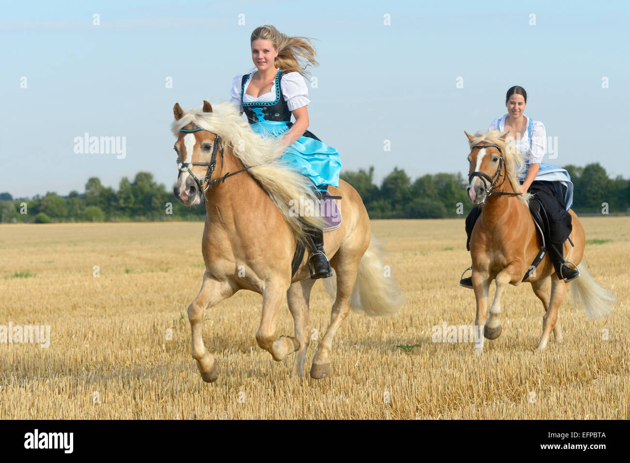 Two young riders wearing traditional dress Dirndl back Haflinger horses ...