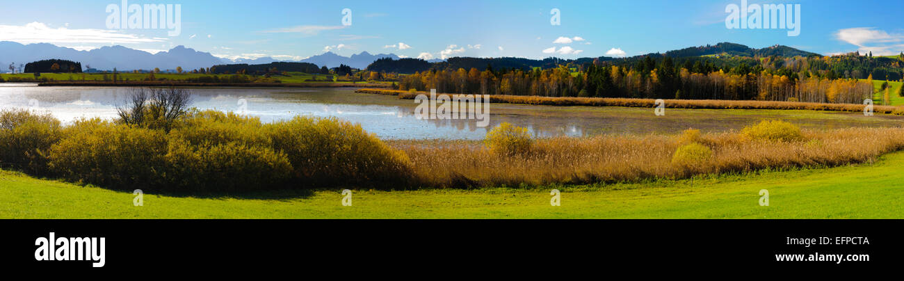 Lake forggensee hi-res stock photography and images - Alamy