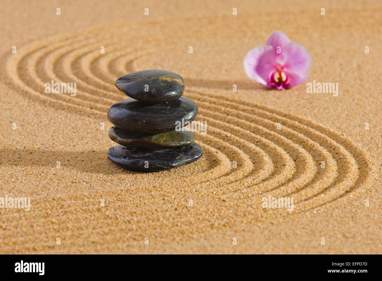 Japanese ZEN garden with stacked stones in raked sand Stock Photo - Alamy