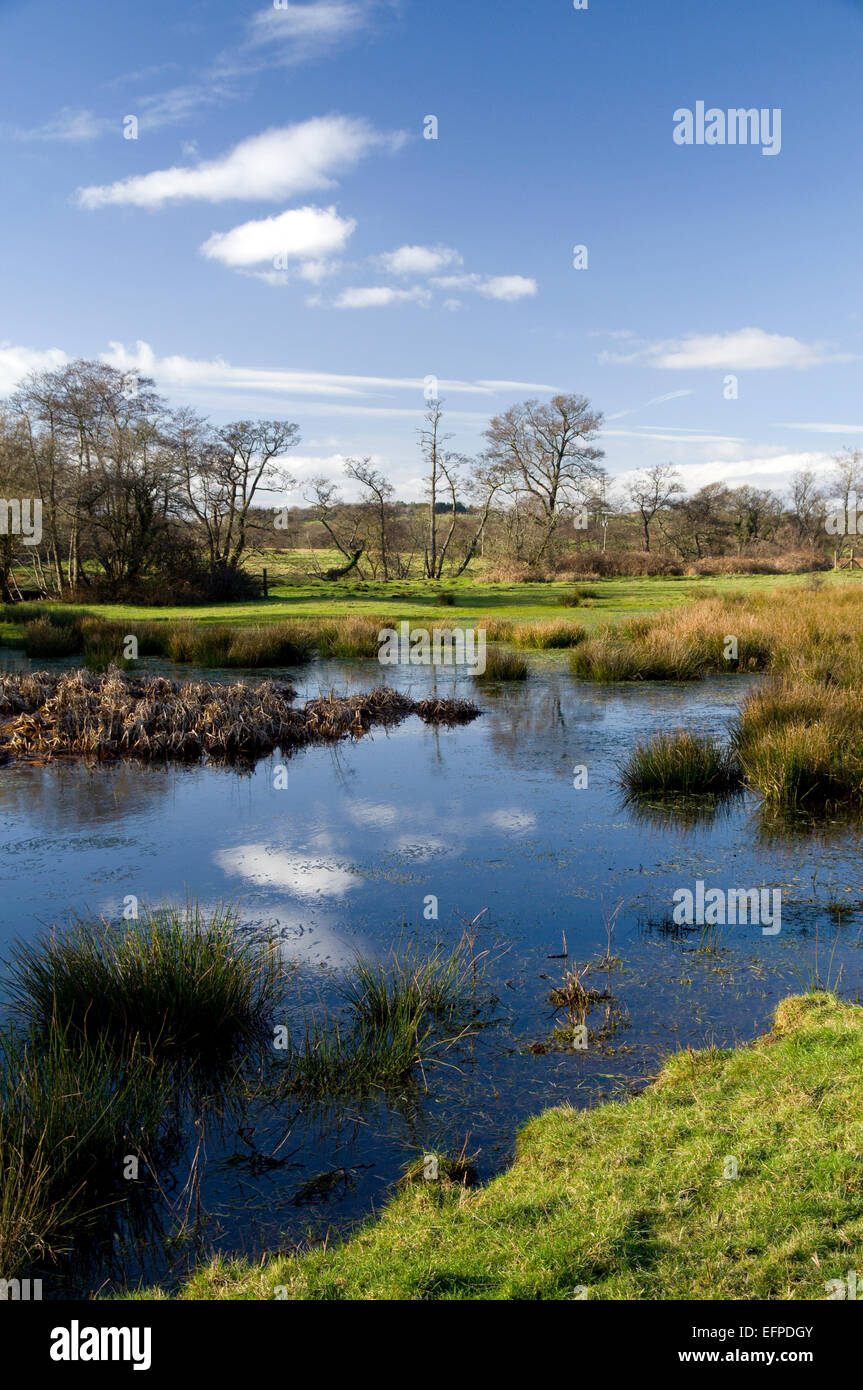 Welsh Farm Fields High Resolution Stock Photography and Images - Alamy