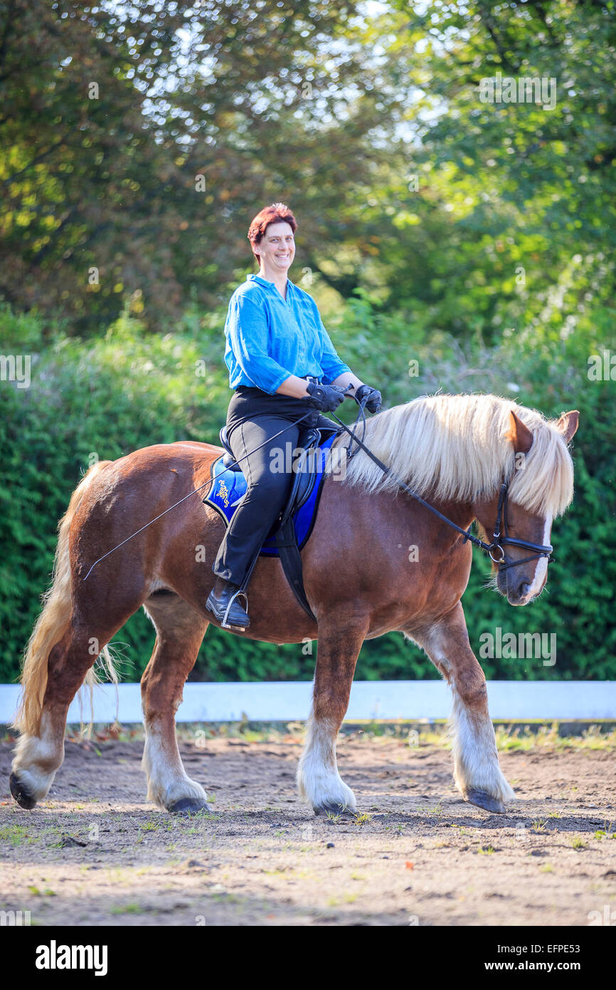 Padd hi-res stock photography and images - Alamy