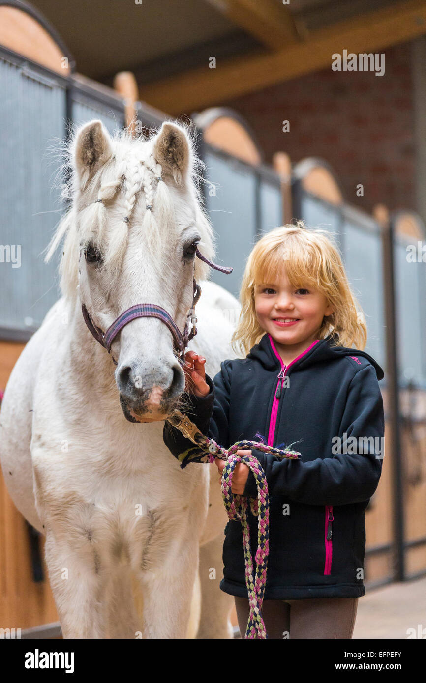 Little girl standing gray Welsh Pony stable lane Germany Stock Photo ...