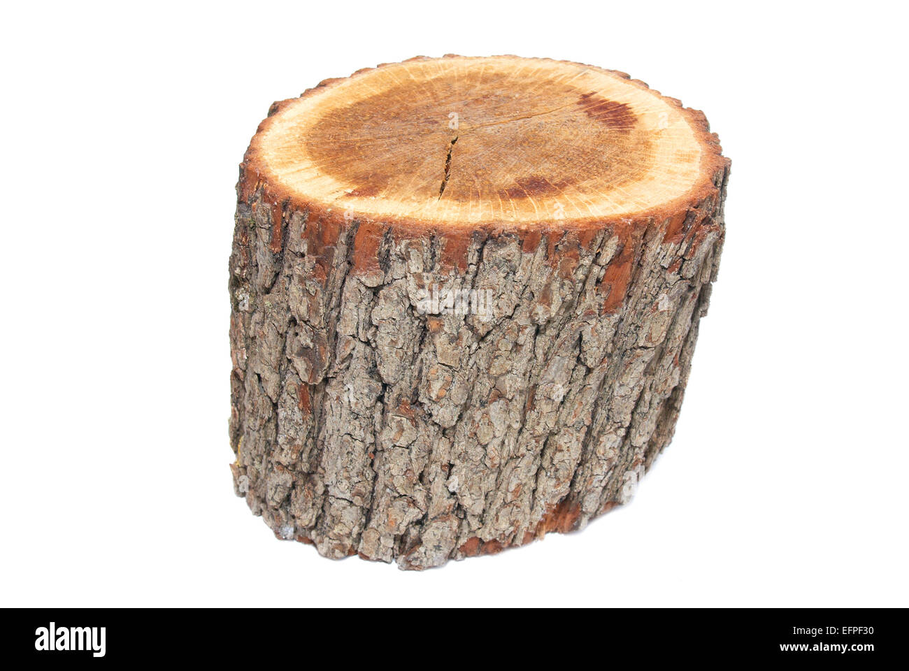 Wooden stump isolated on the white background Stock Photo - Alamy