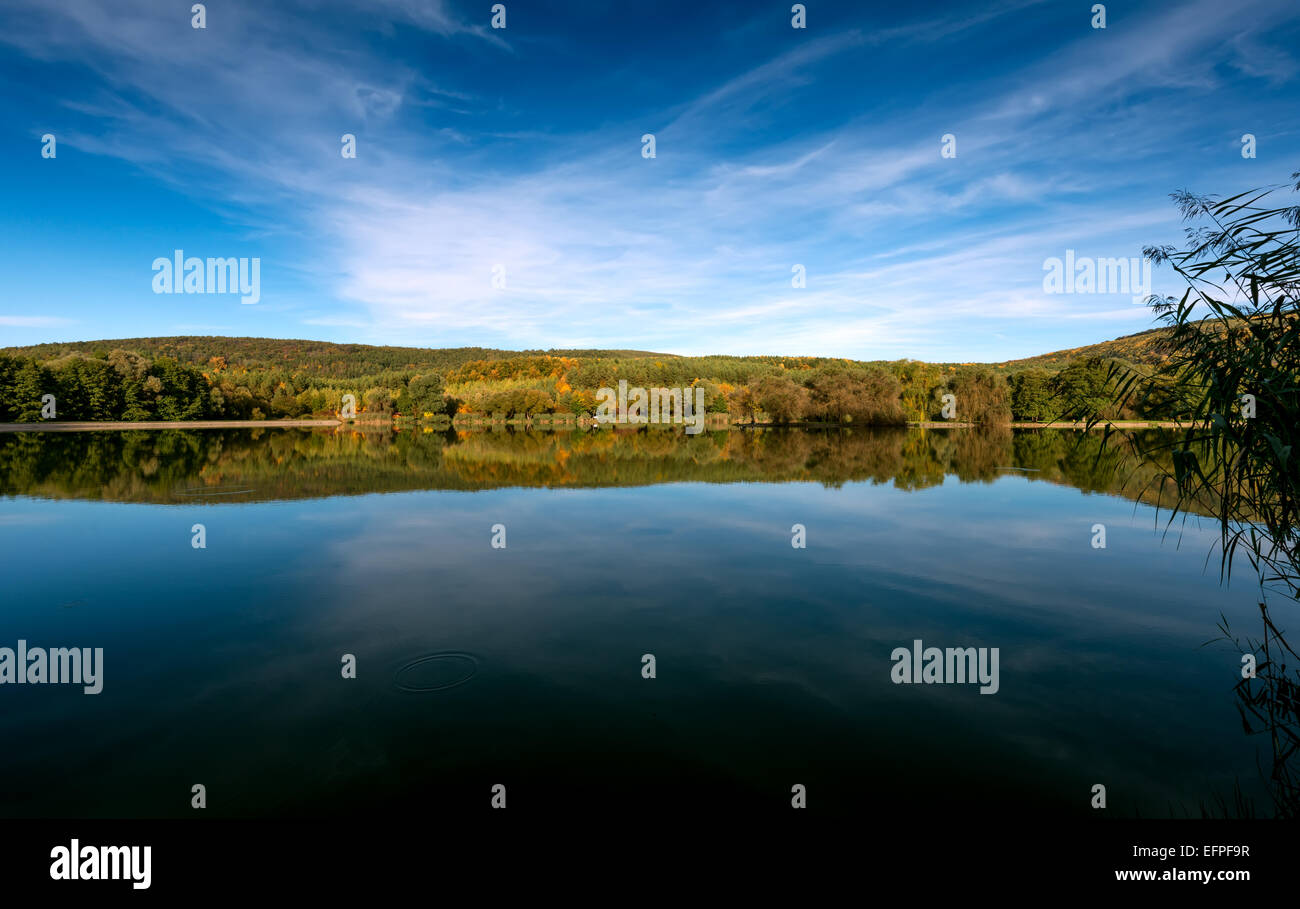 Beautiful forest reflecting on calm lake shore Stock Photo - Alamy