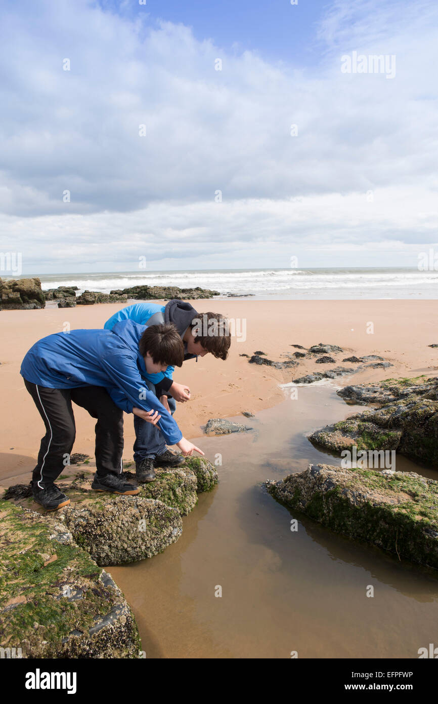 Children playing in a rock pool on the town beach, Ellon, Aberdeenshire ...