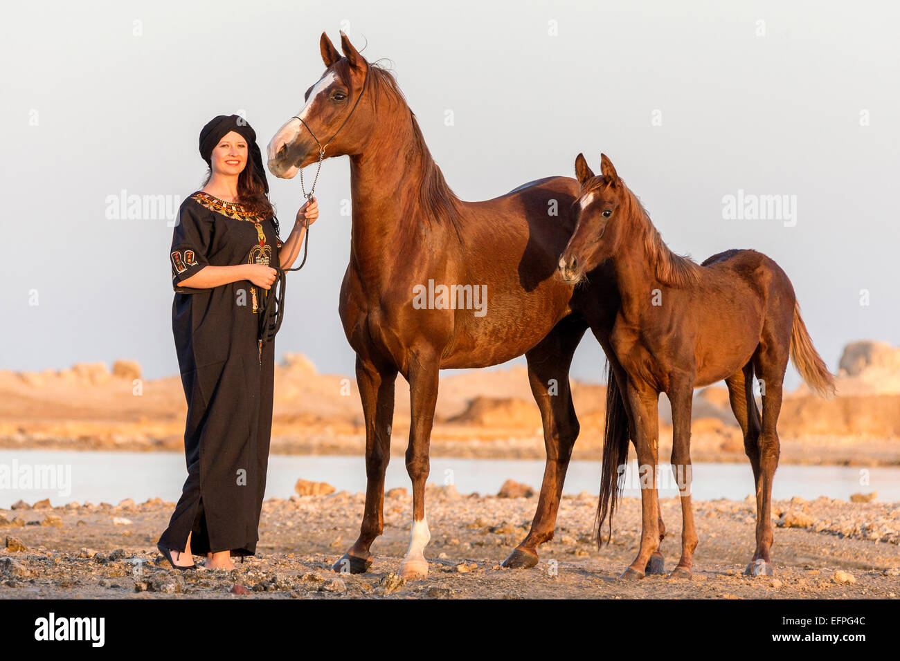 Arabian Horse Woman traditional dress standing next chestnut mare foal ...