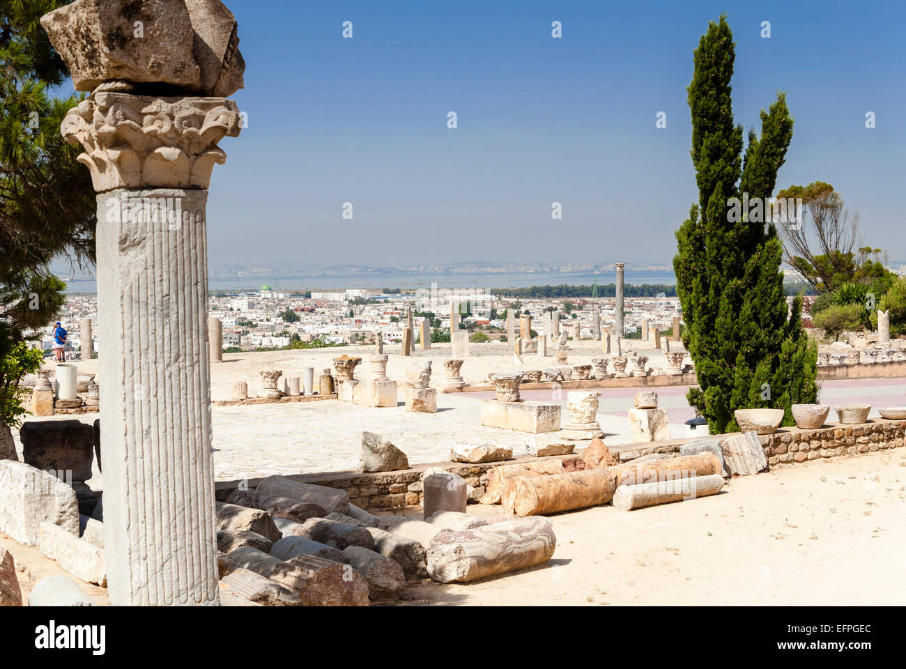 Punic carthage hi-res stock photography and images - Alamy