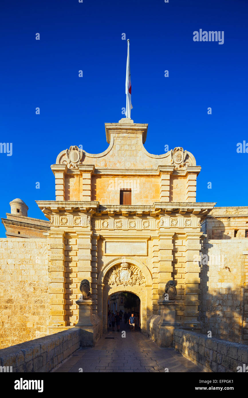 Defense gate hi-res stock photography and images - Alamy