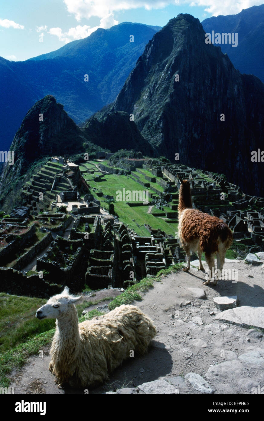Ruins of Machu Picchu, Inca period, approximately XV century Stock ...