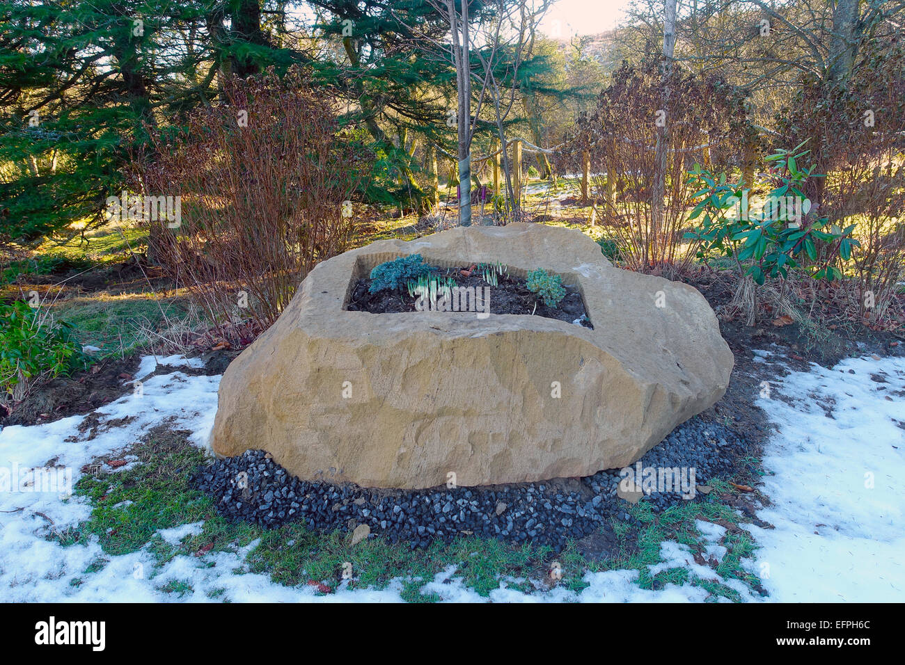 Plants for trough gardens hi-res stock photography and images - Alamy