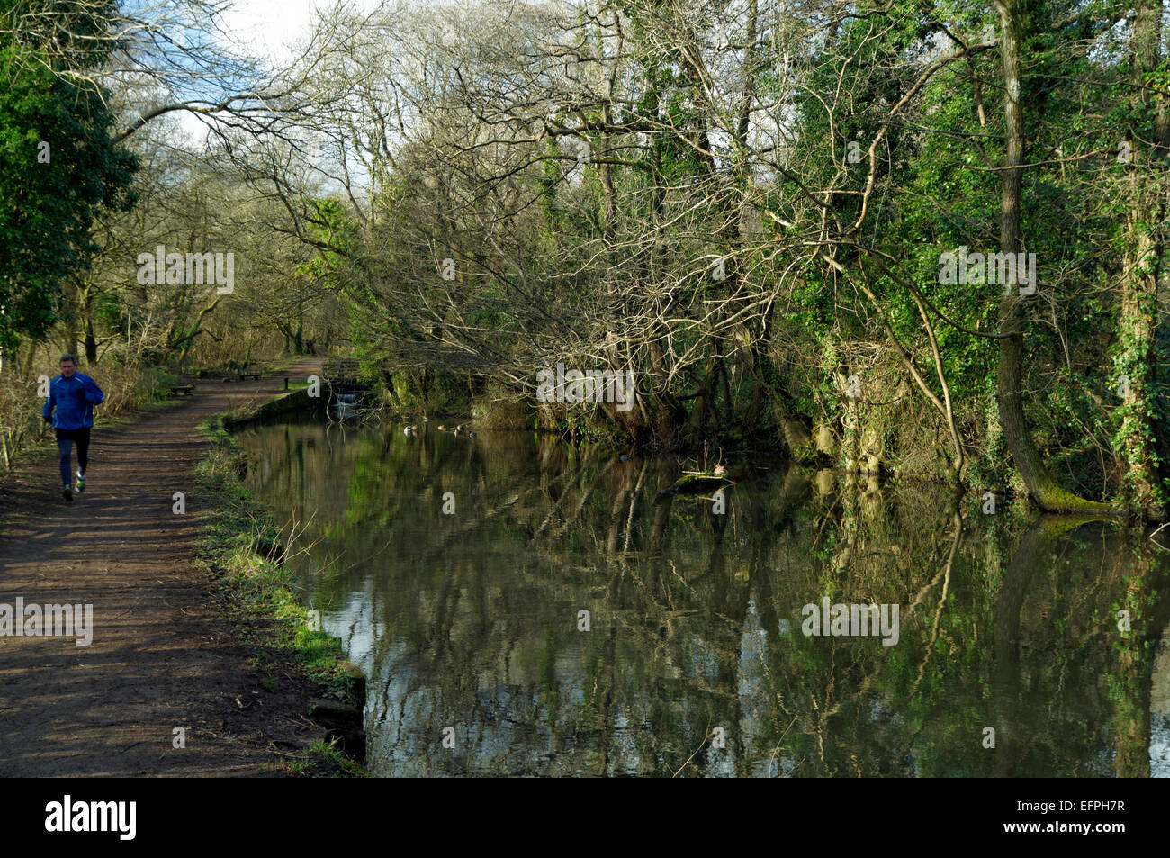 Glamorgan Canal Nature Reserve, Whitchurch Cardiff, South Wales, UK ...