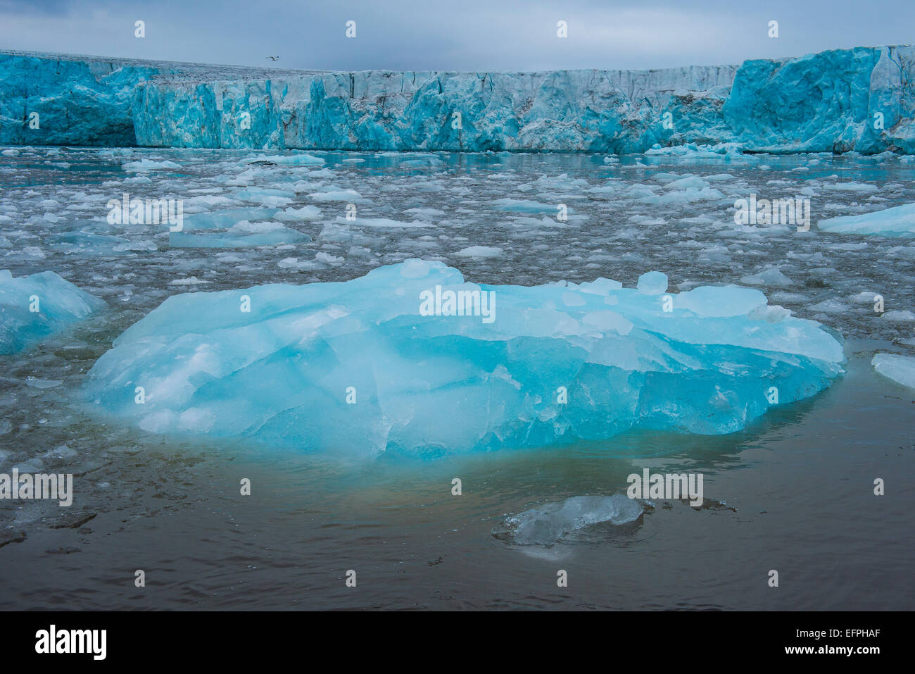 Shining blue glacier ice, Hornsund, Svalbard, Arctic, Norway ...