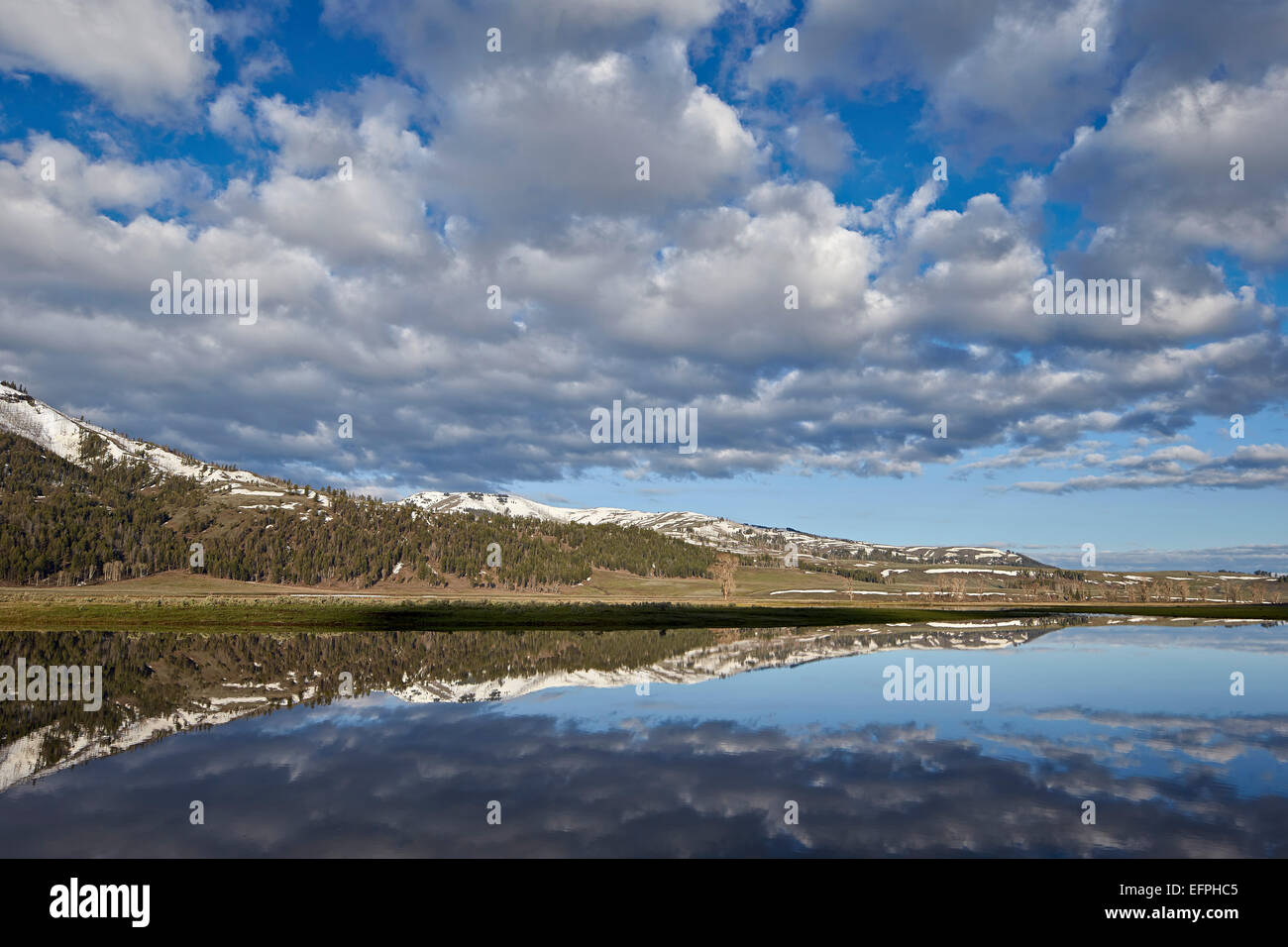 Yellowstone pond hi-res stock photography and images - Alamy