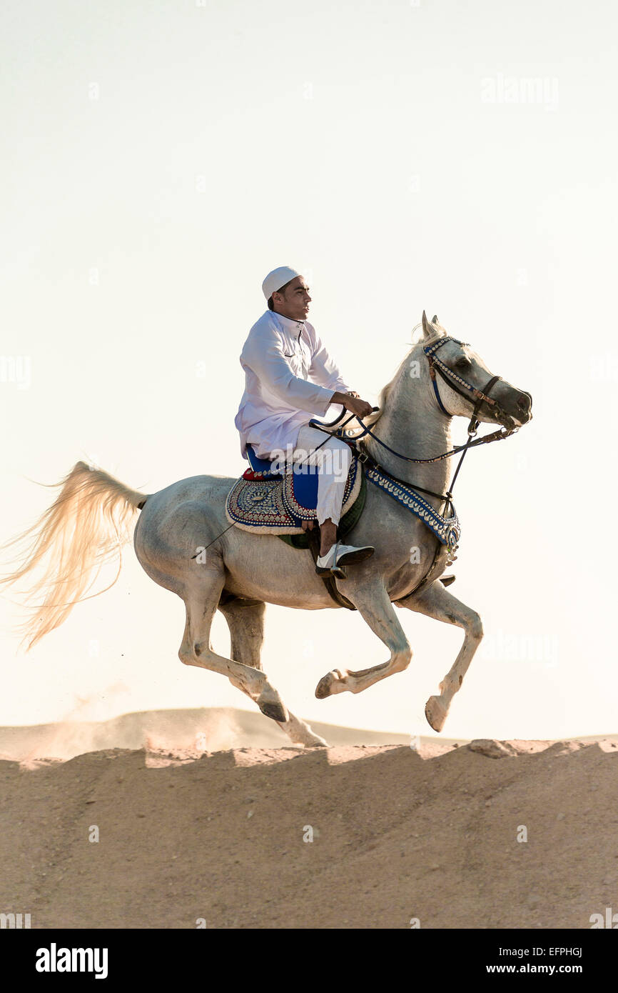 Arabian Horse Rider traditional dress gray stallion galloping the ...