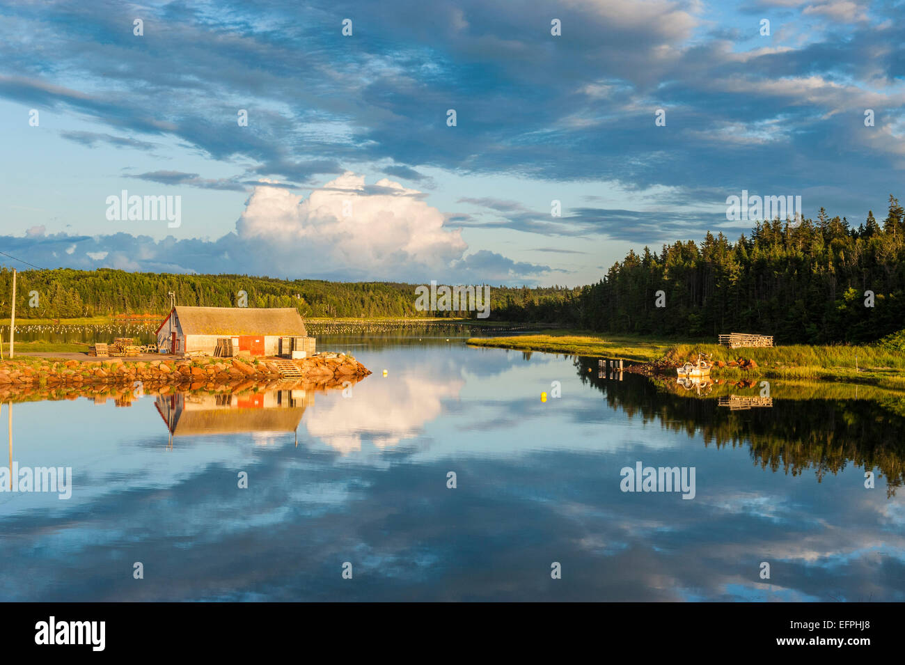 Little north island hi-res stock photography and images - Alamy