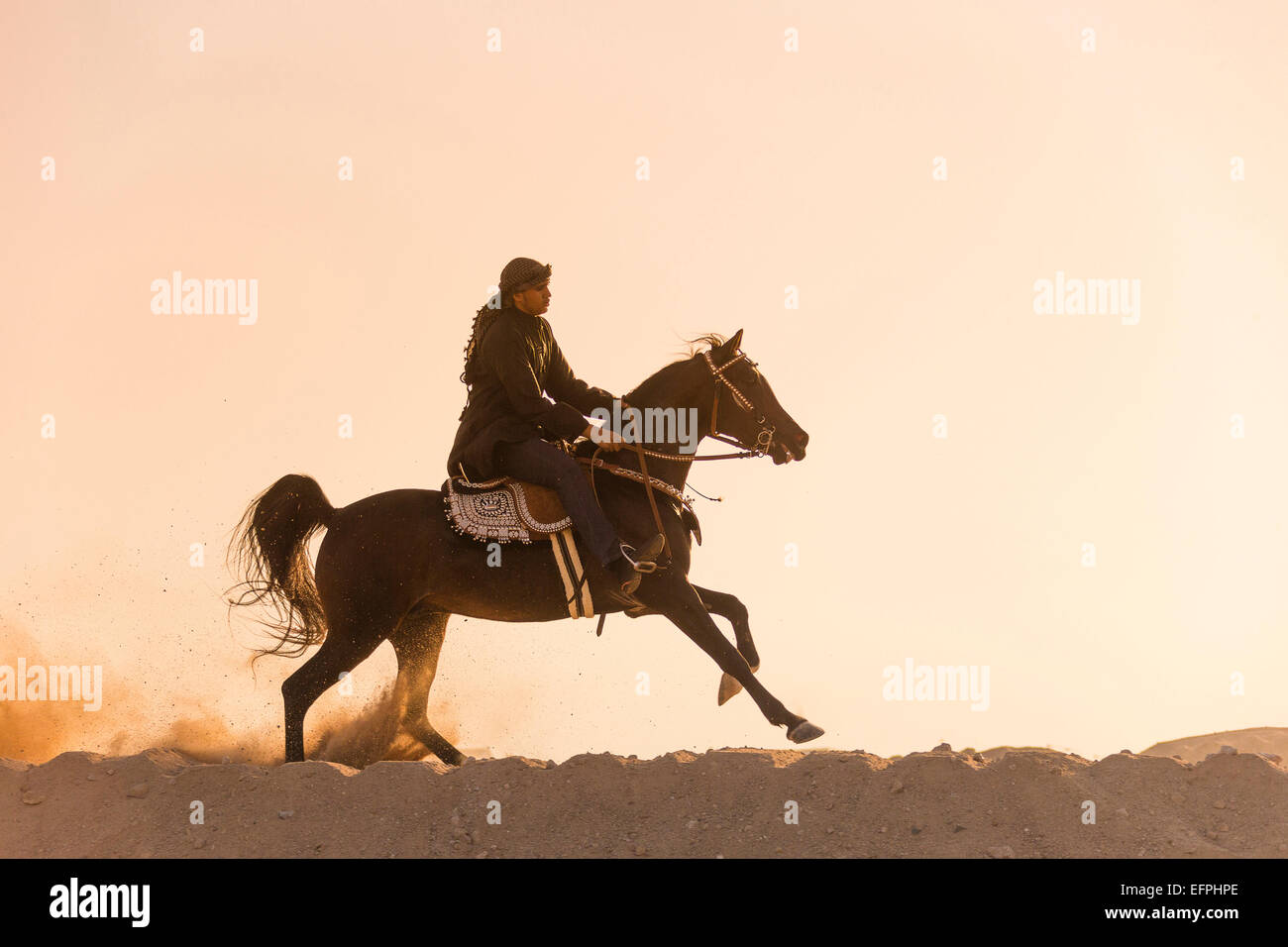 Arabian Horse Rider traditional dress bay stallion galloping the desert ...